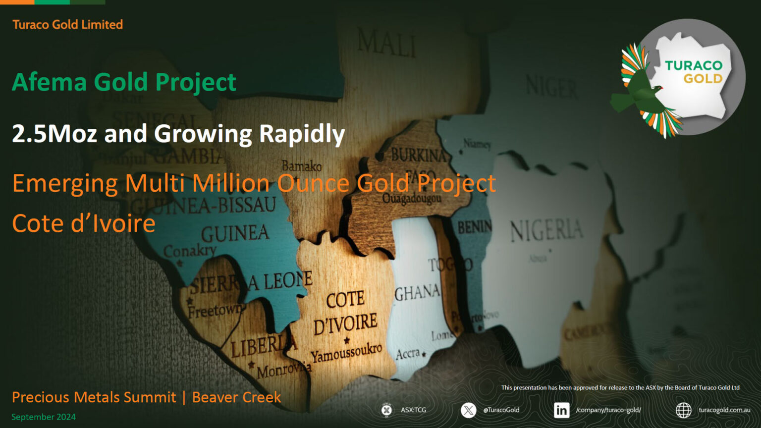 Investor Dashboard – Turaco Gold Limited